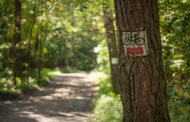 Join the Geauga Park District's Volunteer Bike Patrol and Help Keep the ...
