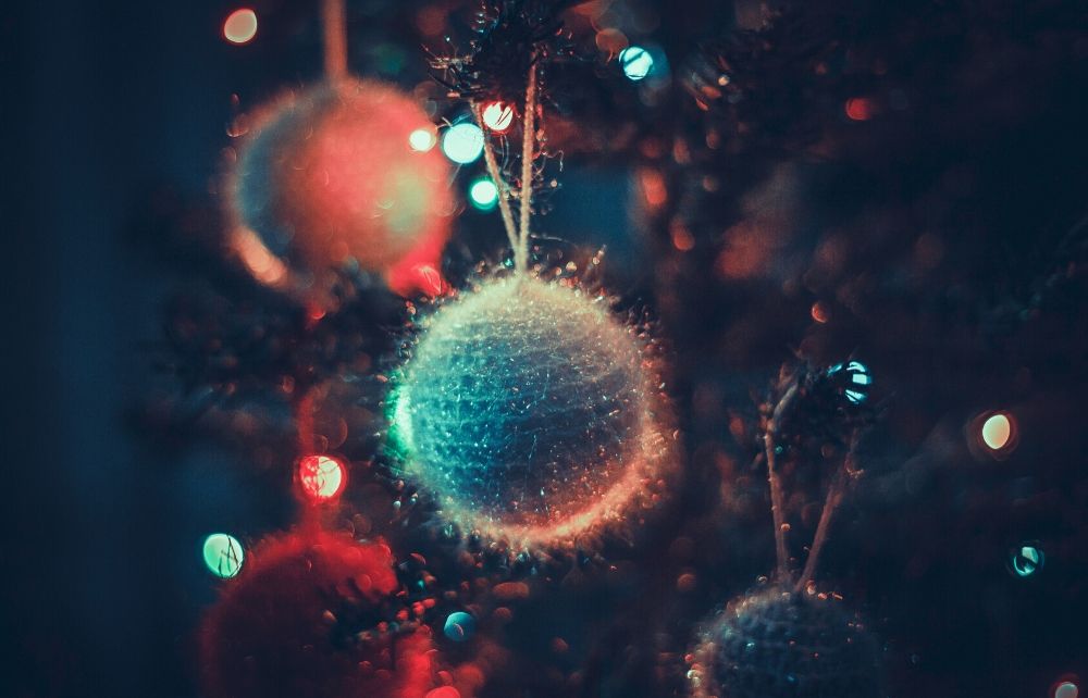 Bill Hixson returns for a special White House Holidays presentation and ...