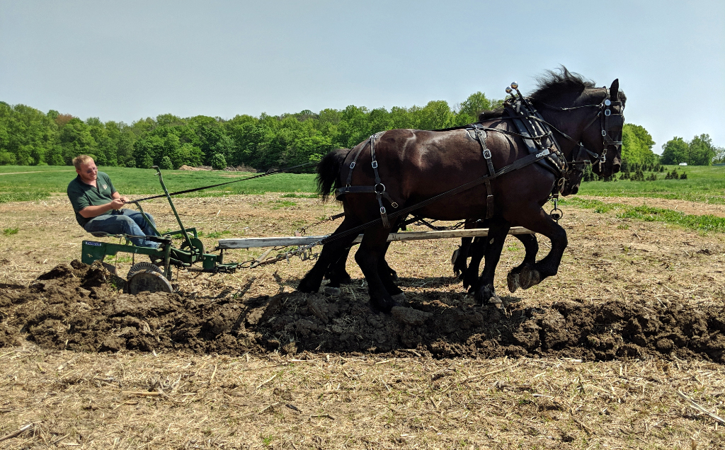 Farmpark Fall Harvest Weekend horses plowing - Geauga News