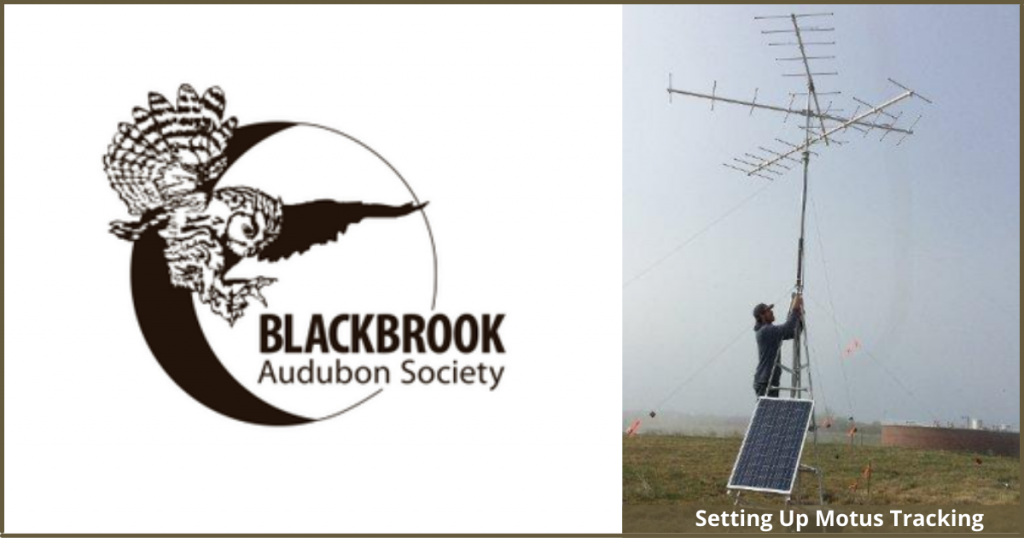 Audubon highlights bird migration and Motus tracking - November 16 ...