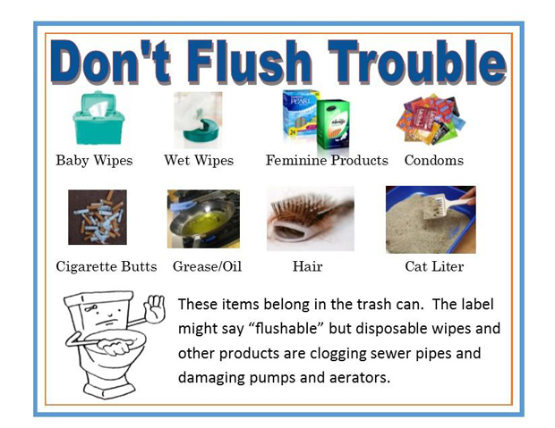 Don’t Flush Trouble - Geauga News